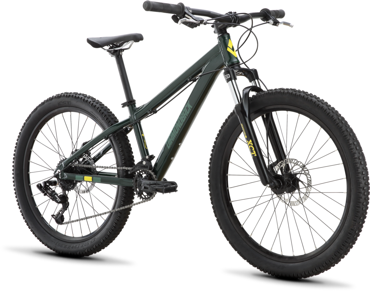 Diamondback Line / 24 - 210000050939